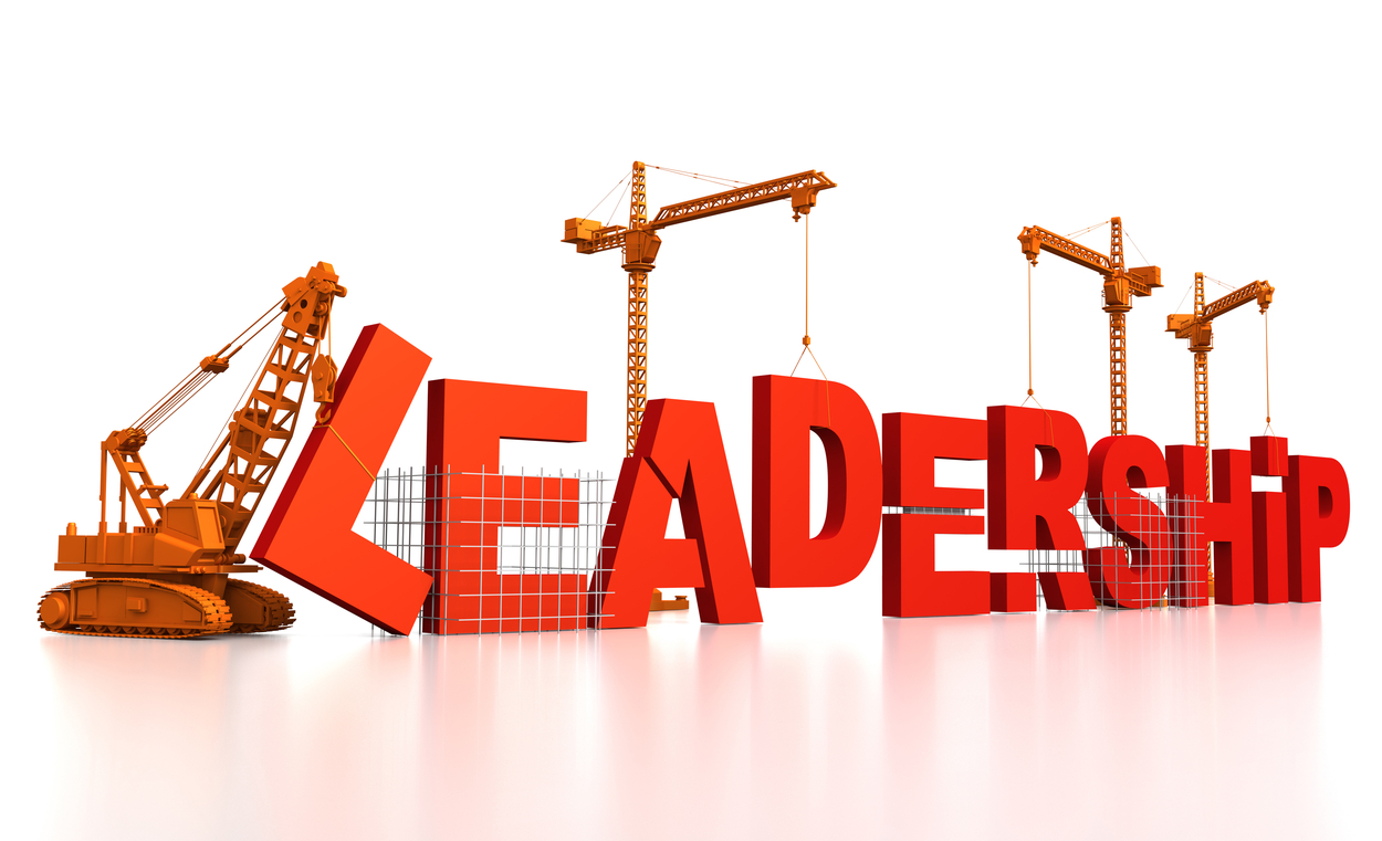 Effective Leadership in SACCOs: Qualities and Actions that Matter ...